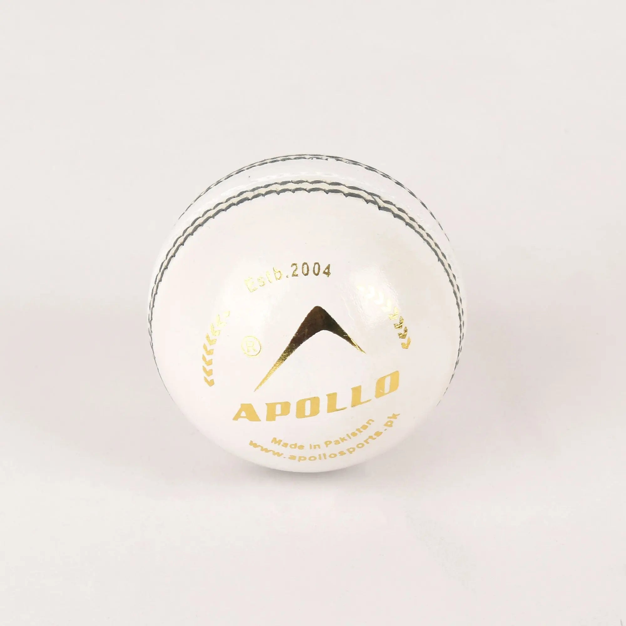 APOLLO Cricket Hard Ball - Vortex Club for Practice White – Apollo Sports